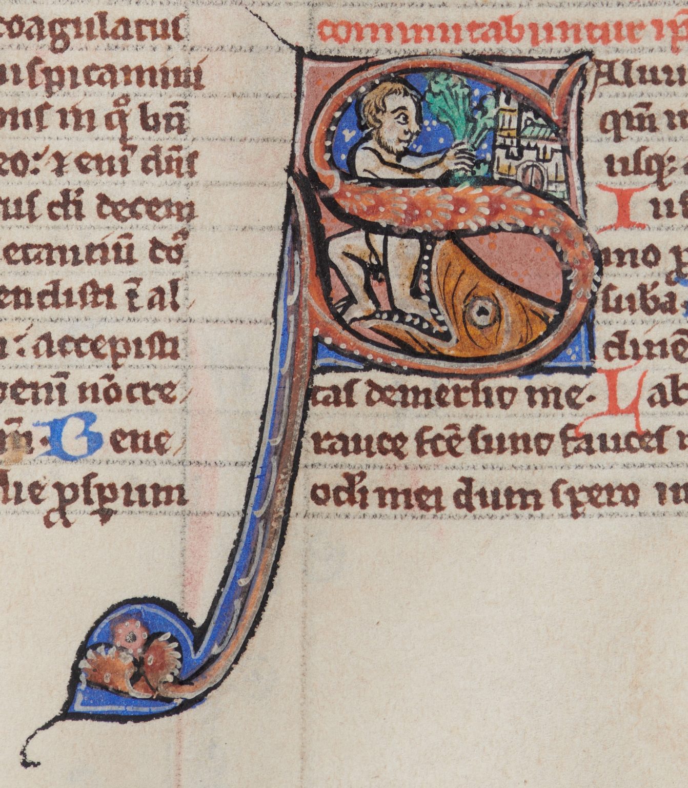 13th Century Sarum Master Bible to go on public display for first time ...